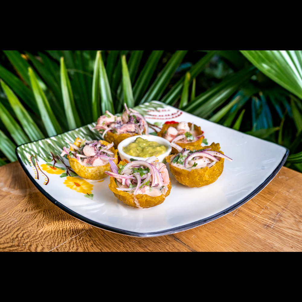 Conchitas marinas - La Matriarca